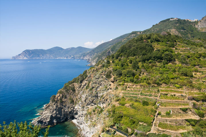 Events and places to visit in Corniglia | Casa Danè